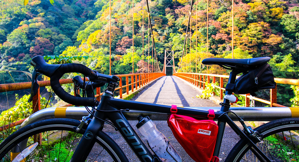 Kyoto Cycle Route: RBRJ Kyoto to RBRJ Lake Biwa - Road Bike Rental Japan