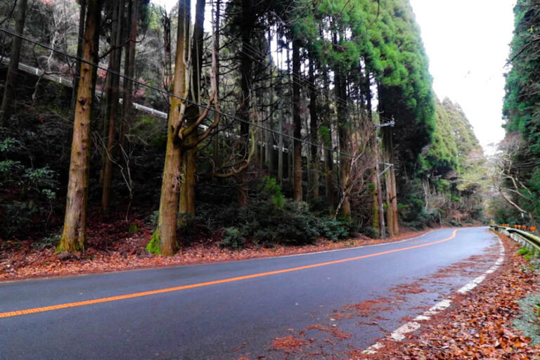 Best 1-Day Cycling Routes in Osaka - Road Bike Rental Japan