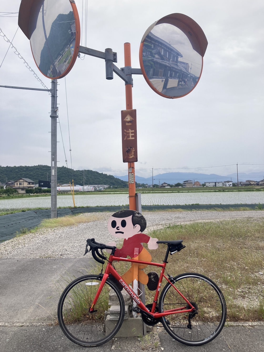 Cycle through the Shiga Countryside: A Scenic Adventure - Road Bike ...